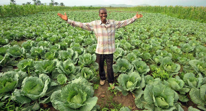 The joy of volunteering | SCIAF