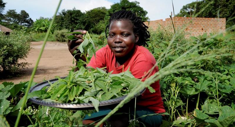 Concy's story | SCIAF