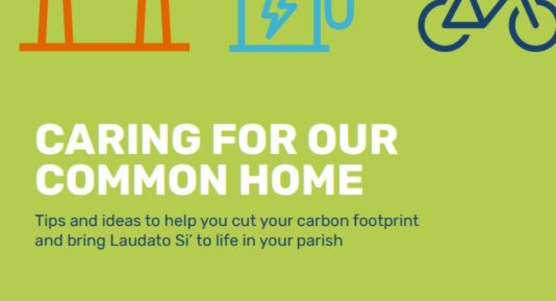 Caring for our common home | SCIAF