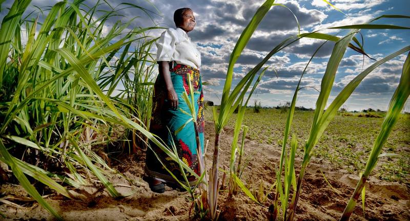 Stories behind Non-Economic Loss and Damage | SCIAF