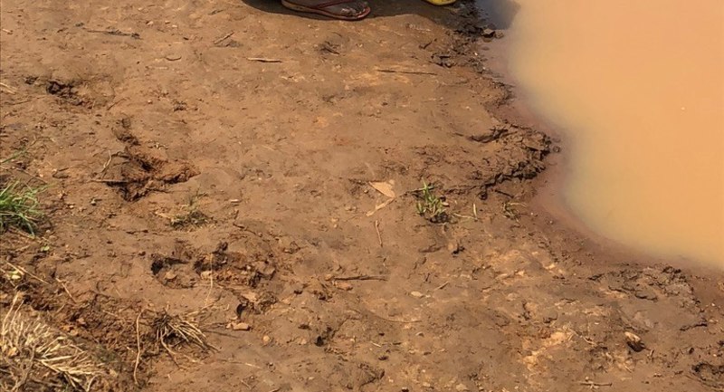 Water brings new life in Ethiopia | SCIAF