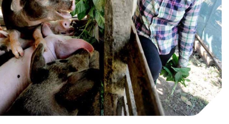 Promising practices: Communal land titling for indigenous peoples | SCIAF