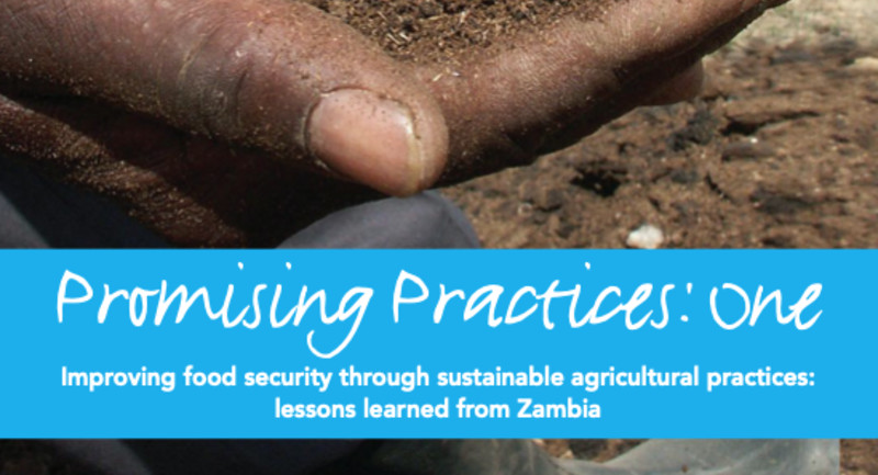 Promising practices: Improving food security | SCIAF