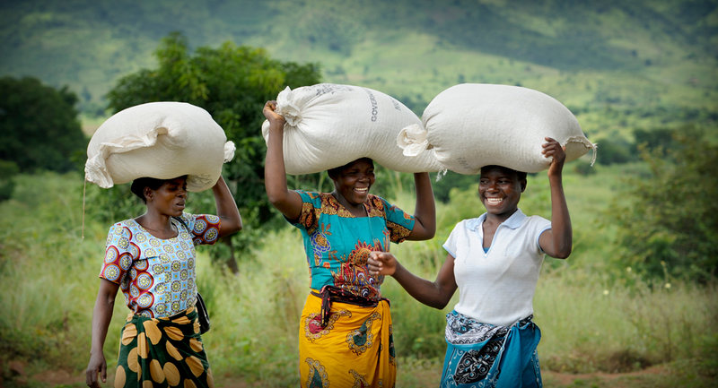 Get Involved | SCIAF