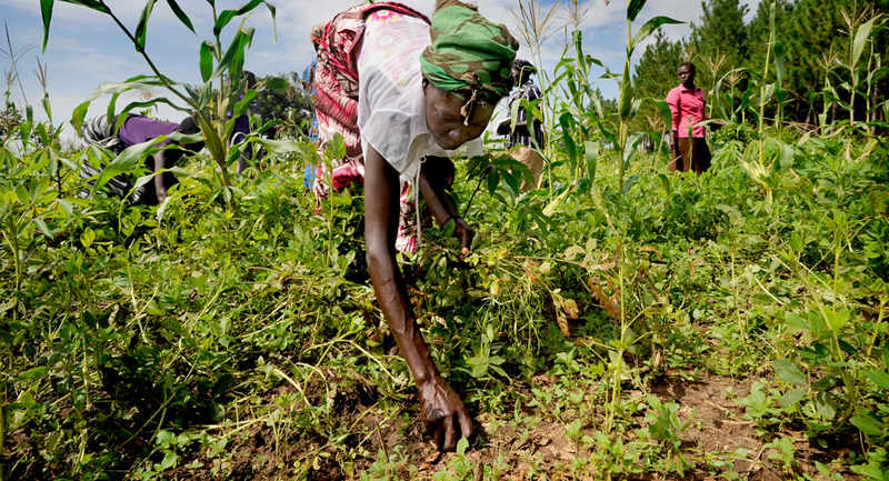 World Hunger Crisis | Donate to End Hunger | SCIAF