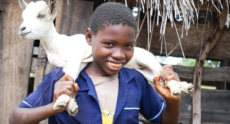 I love Messi – so I bought a GOAT | SCIAF